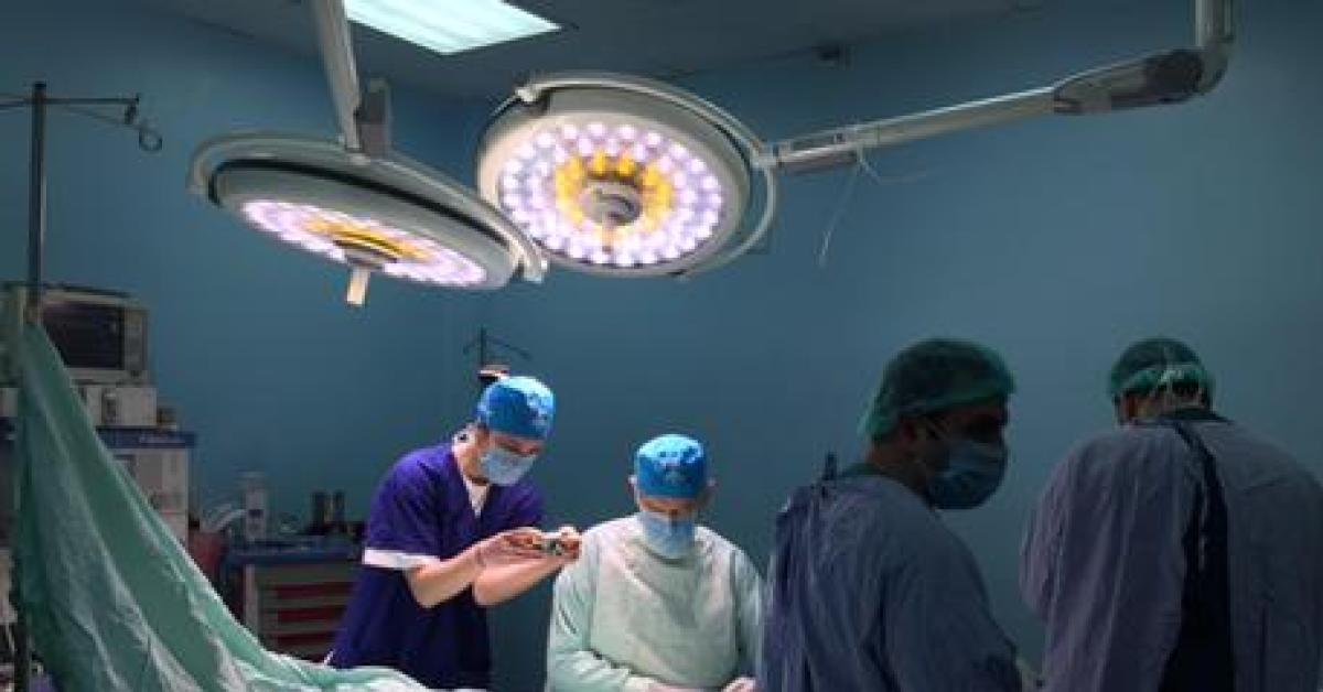 Trapianto di rene da maiale a uomo, ok dalla FDA al trial clinico su 6 ...