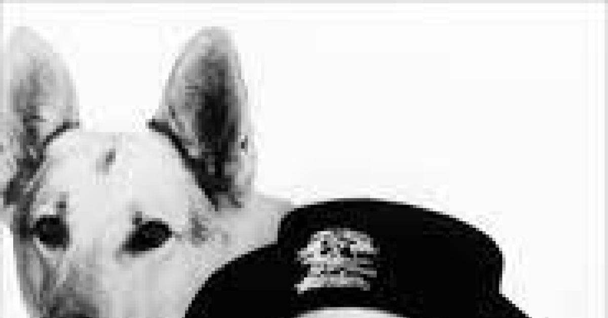 E' morto Lee William Aaker, il Rusty de "Le avventure di Rin Tin Tin ...