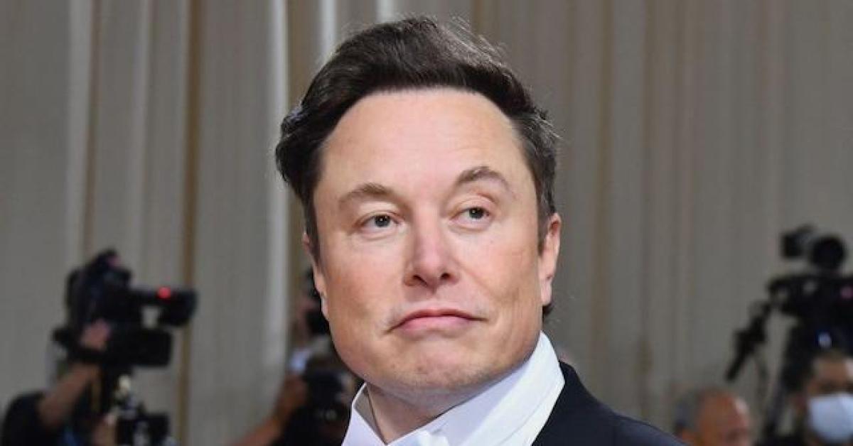 Twitter, l'Onu scrive a Musk: "Garantisca rispetto dei diritti umani ...