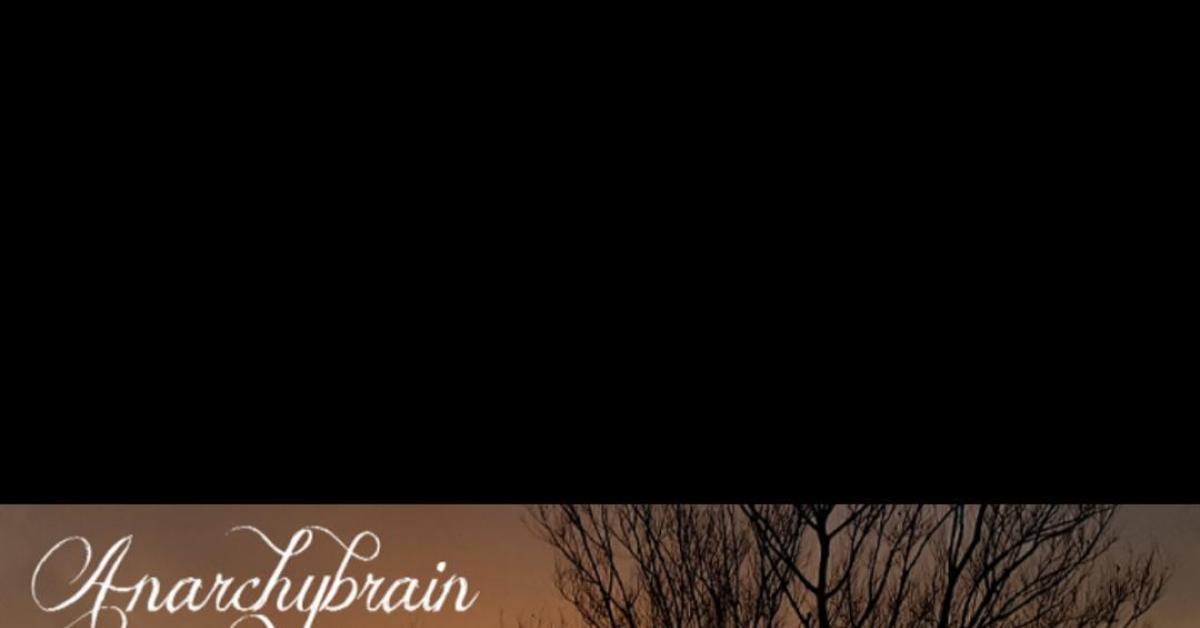 Fabio Varrone, in arte Anarchybrain Rocknation, finalmente annuncia l ...