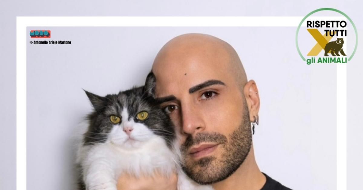 Non fare la belva, adotta un animale - Il Giornale d'Italia