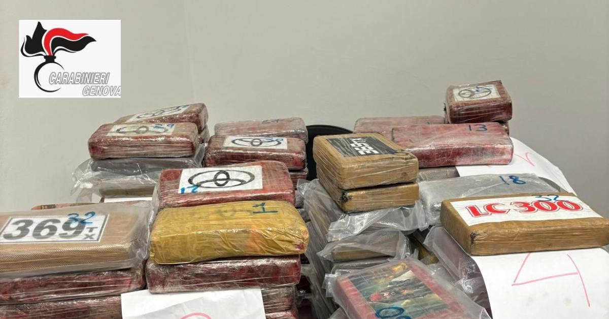 Genova, trafficanti arrestati in porto con 145 chili di cocaina nell'auto grazie ai controlli ...
