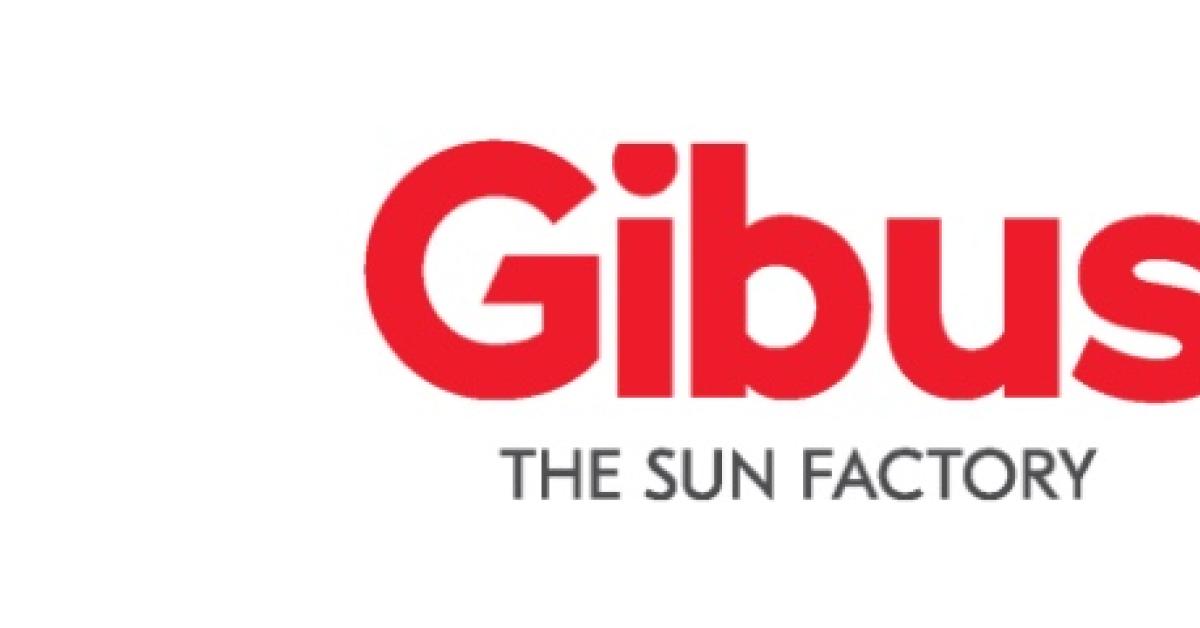 Gruppo Gibus, Enrico Codognini nominato direttore generale; la sua ...