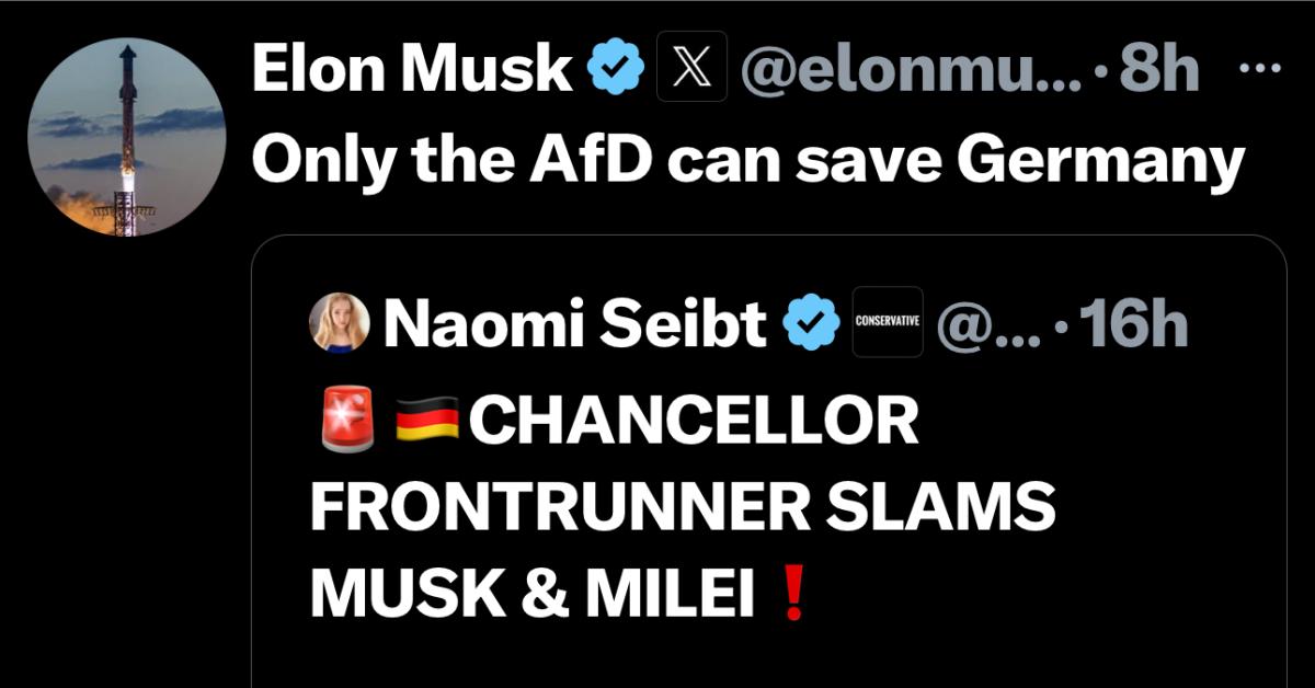 Musk appoggia l’AfD: “Solo loro possono salvare la Germania”, la ...