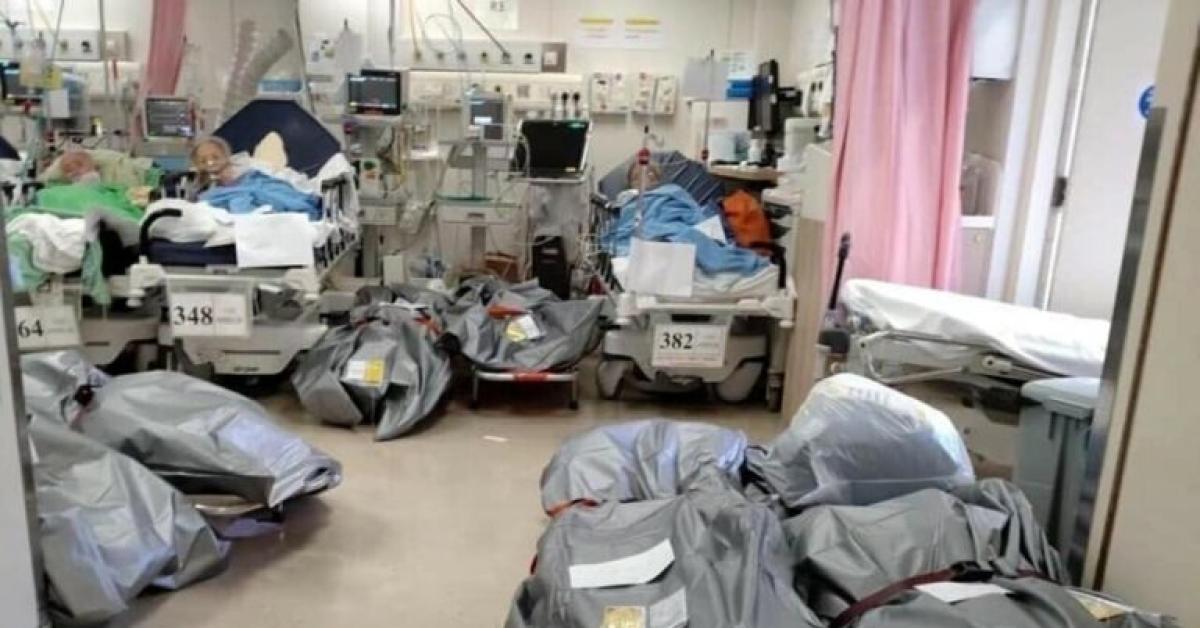 Covid, e dopo l’Oms liberateci dal sacco nero nel quale ci finiscono ...