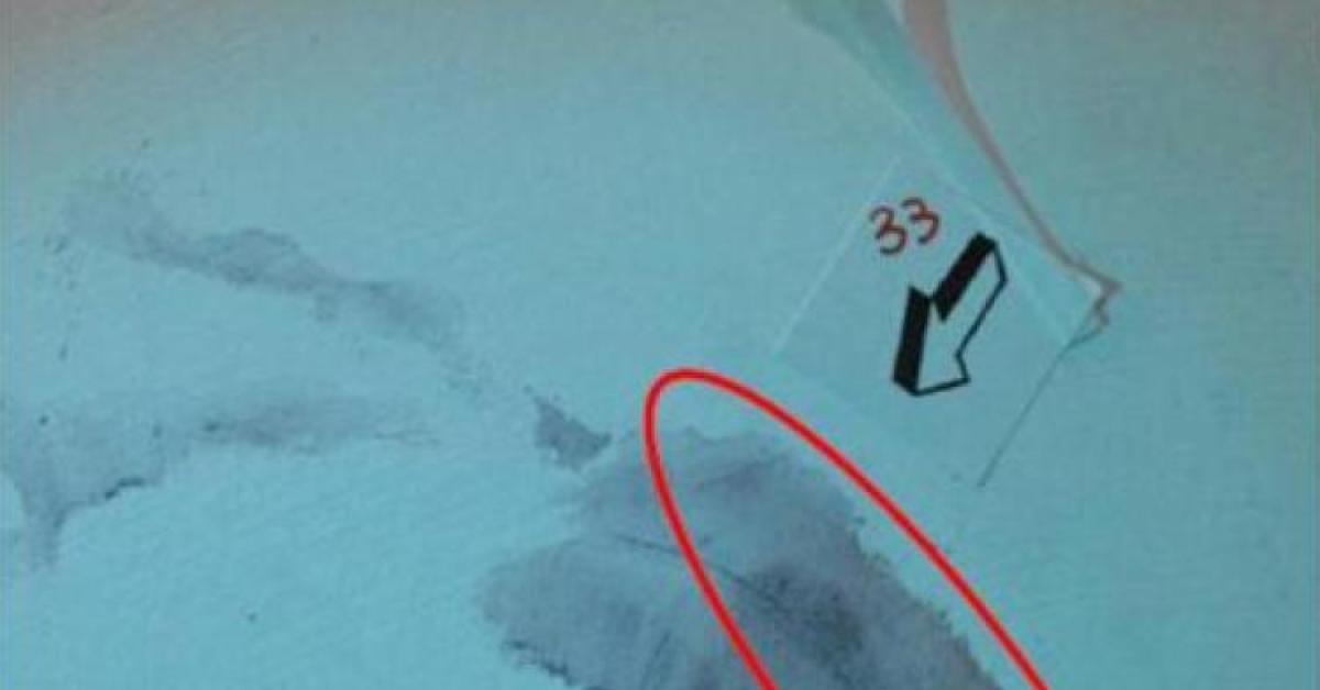 Garlasco, difesa di Stasi presenta nuova perizia: “Tracce di sangue nell’impronta di Sempio ...