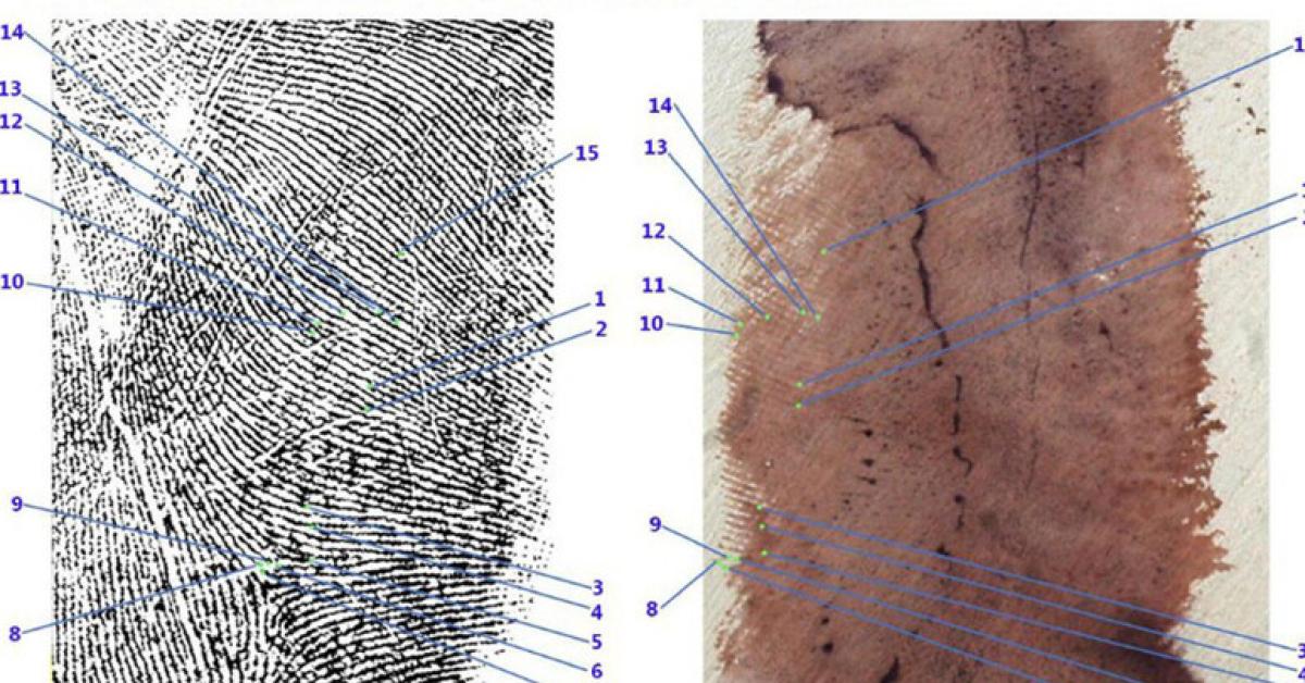 Garlasco, 6 impronte palmari ignote sul muro accanto al cadavere di ...