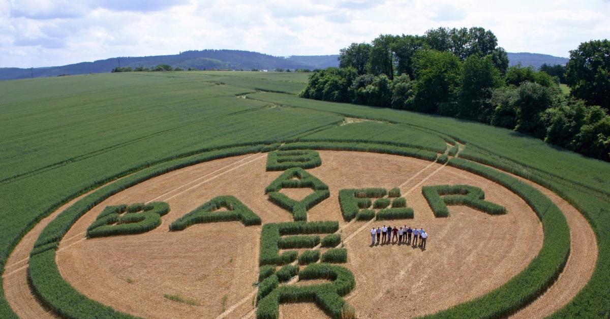 Vaccino Covid, Bayer fa causa a Pfizer, Biontech, Moderna e Johnson ...
