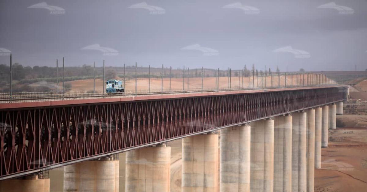 Piano Mattei in Algeria: il ruolo chiave di Condotte 1880 guidata da ...