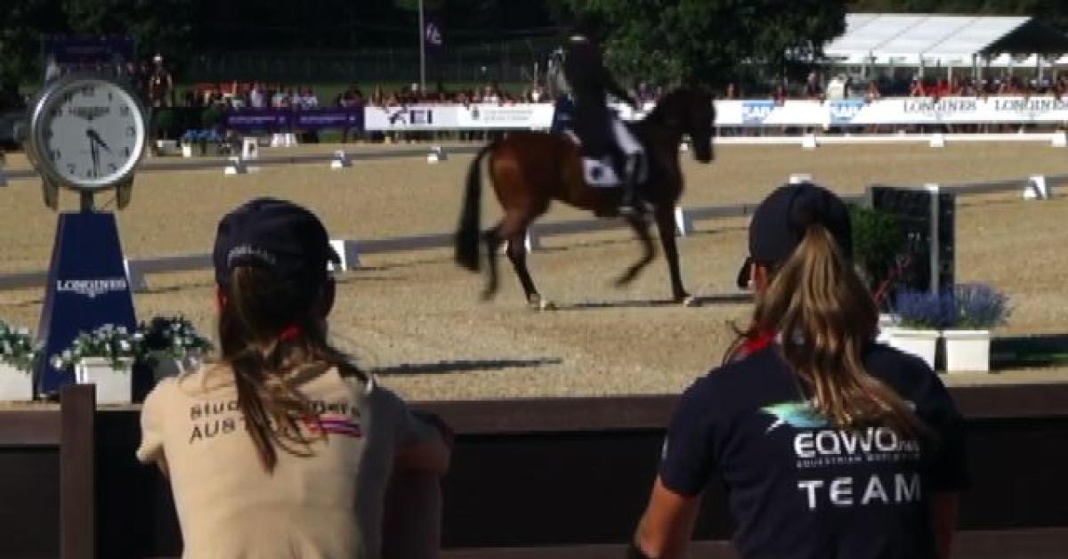 Ai Pratoni del Vivaro rigenerazione sostenibile per il territorio - Il ...