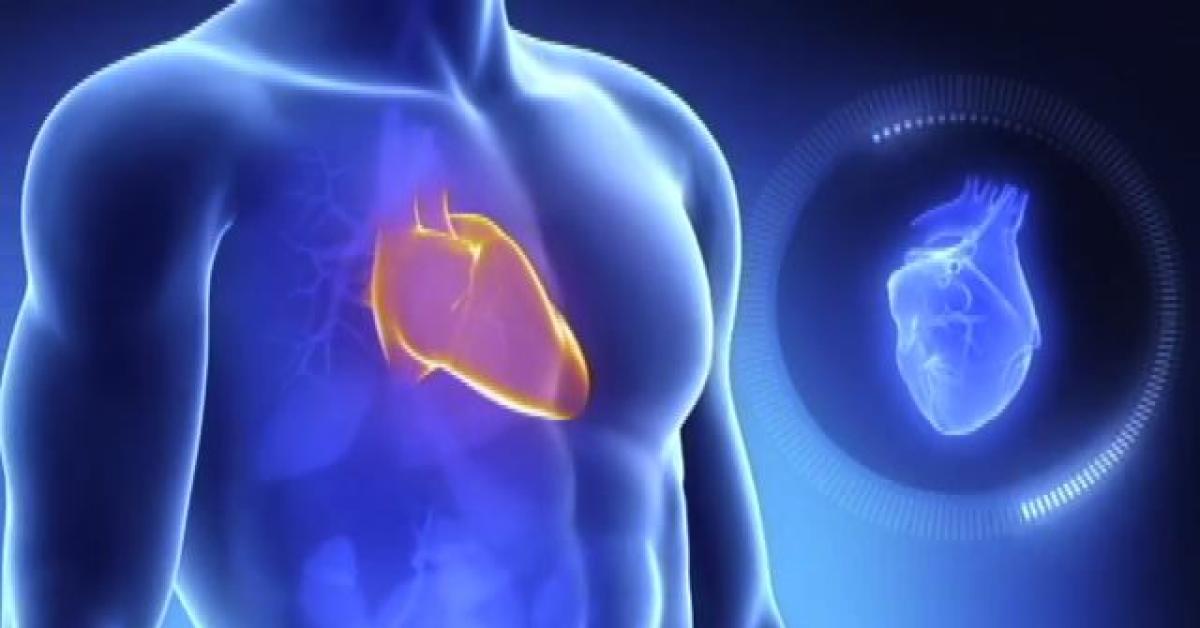 Scompenso Cardiaco, migliorare presa in carico e accesso a cure - Il ...