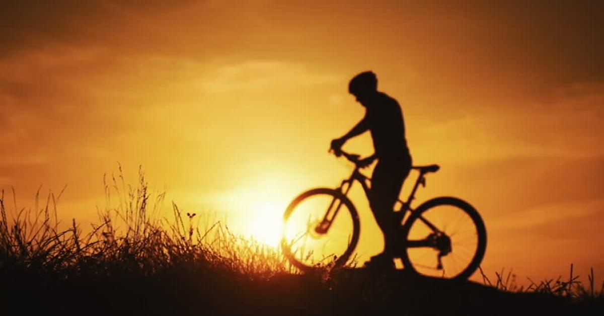 Osteopatia, Marco Carlevale: trattare anche causa del problema - Il ...