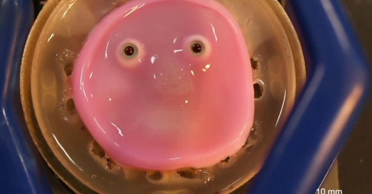 In Giappone creato il primo sorriso umano (e inquietante) su un robot ...