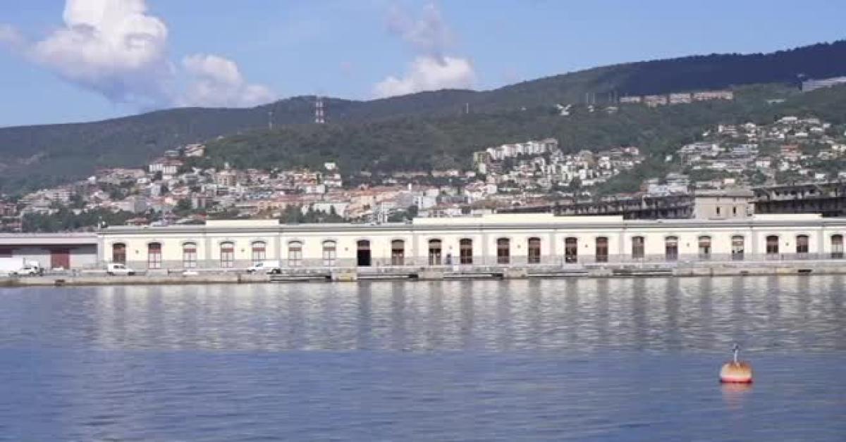 BAT in Italia, 20 anni di storia e presto il Made in Italy - Il ...