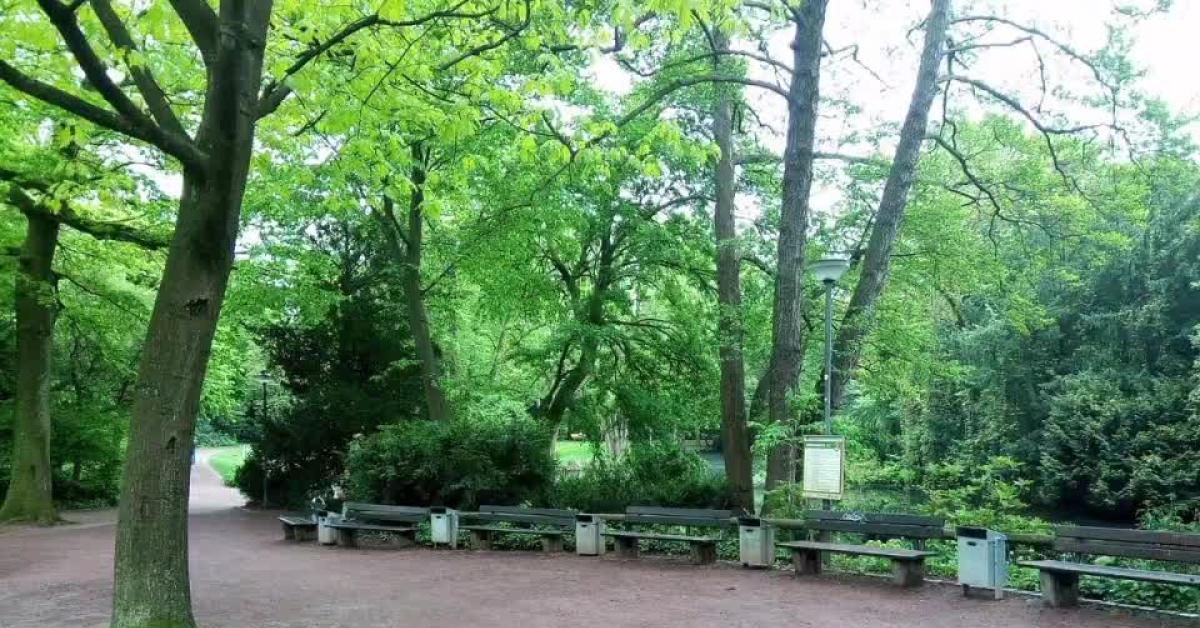 Germania attacco con coltello in Baviera nel parco di Aschaffenburg due ...