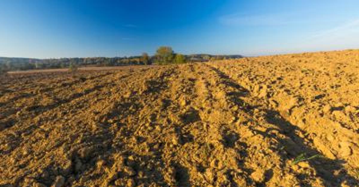 World Soil Day, i servizi fondamentali di un suolo sano - Il Giornale d ...