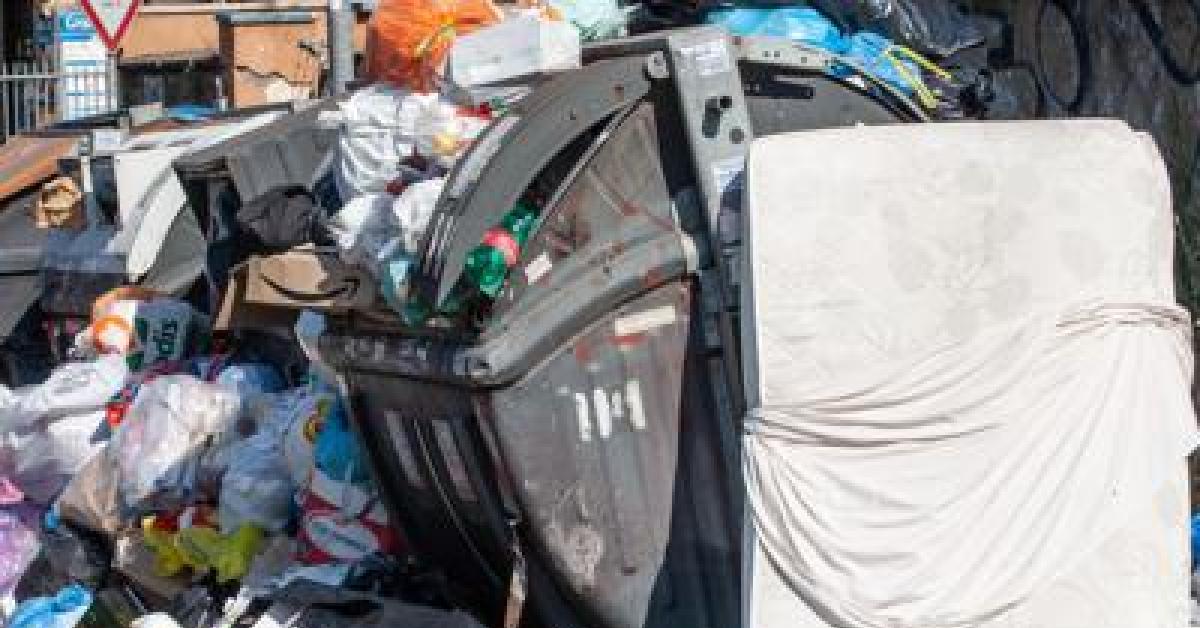 Rifiuti Roma, igienisti: "Situazione va monitorata per elementi ...