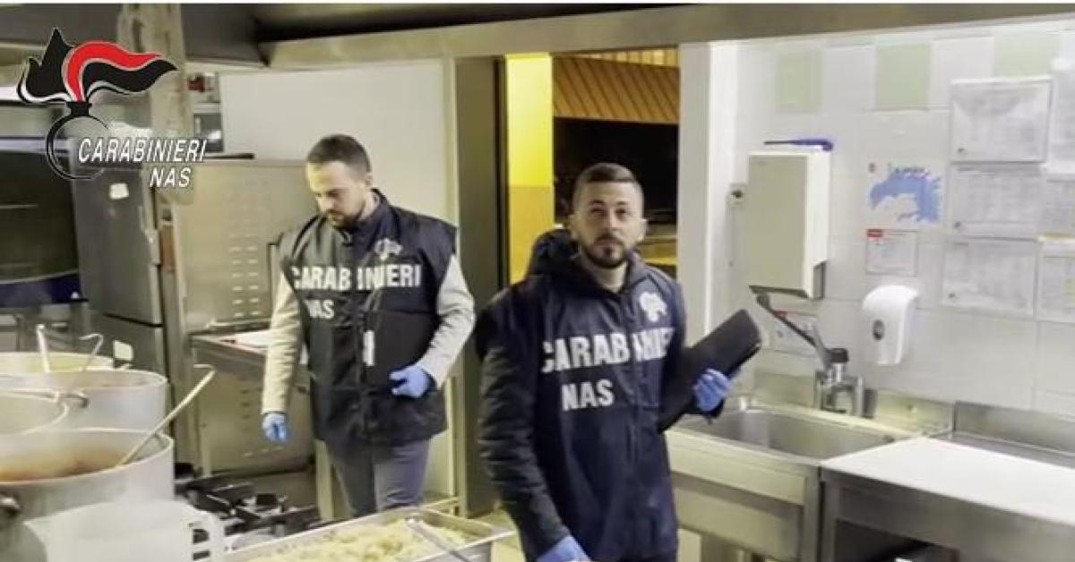 Blatte in frigo e escrementi di topo, i Nas nelle mense scolastiche ...