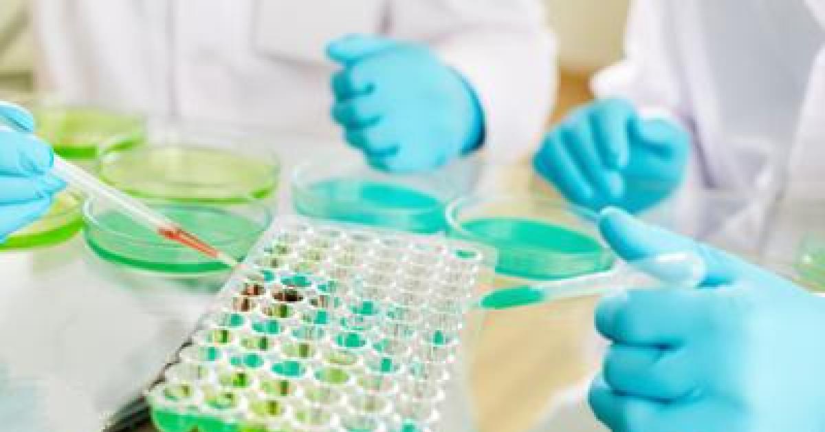 Tumori, Ail e Gitmo: "Nel 2025 Giornata paziente trapiantato di ...