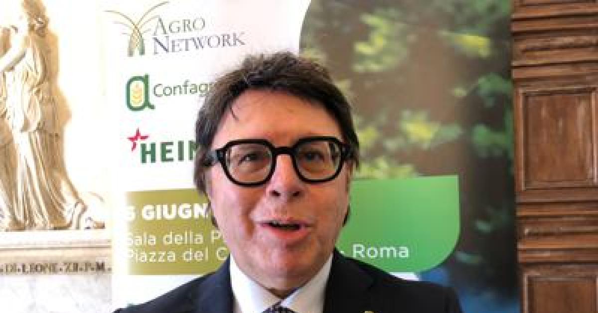 Gambuzza (Confagricoltura): "Siccità problema strutturale, serve anche ...