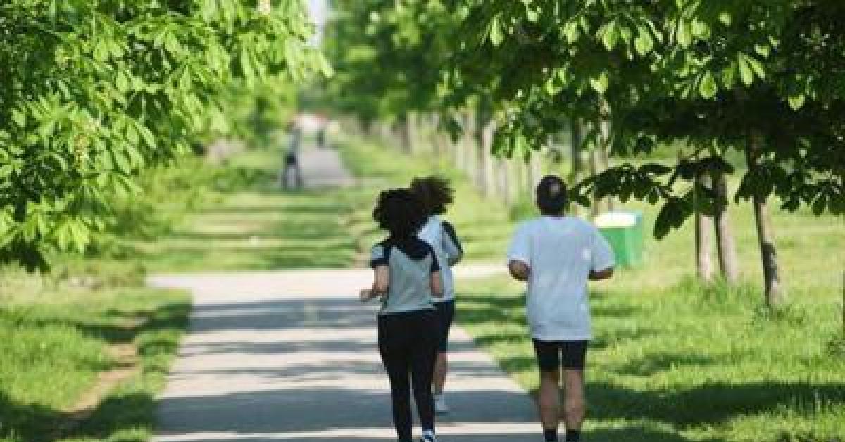 Piantanida (Soi): "Sport, vitamine e antiossidanti, così freniamo ...