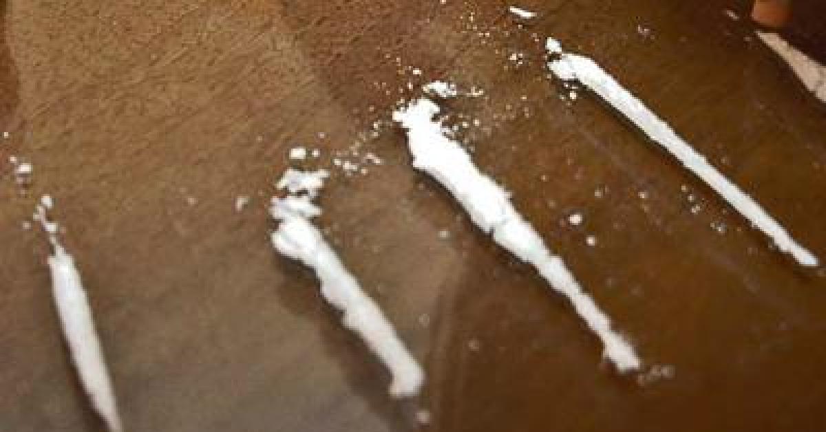 Salute, Udicon: "E' allarme vendita polveri energizzanti da inalare ...