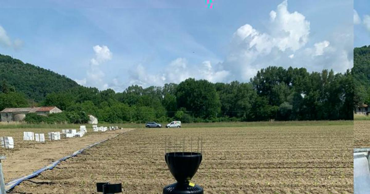 Bat Italia lancia Weplant, Ia e innovazione al servizio di una ...