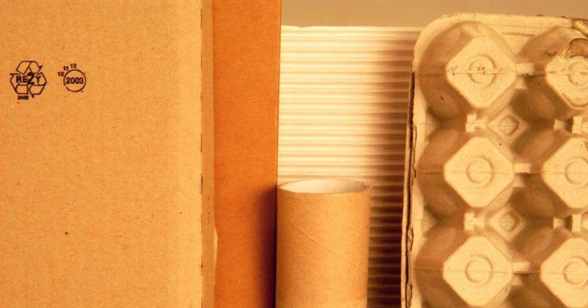 Eco-imballaggi, arriva il vademecum sul cartone ondulato - Il Giornale ...