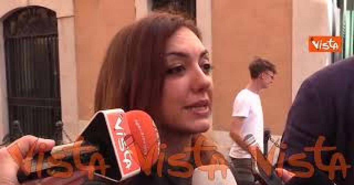 Montaruli (FdI): "Risorse record per la sanità e per i genitori ...