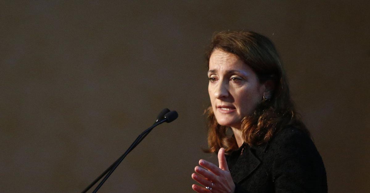 Pilota d'aereo ubriaco si arrampica sulla casa della ex deputata M5S Ruocco e cerca di entrare ...