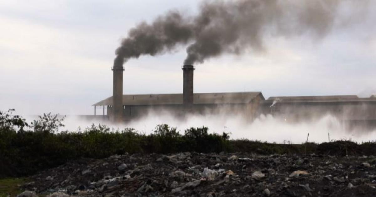 Clima, Onu: pianeta più caldo di 3 gradi malgrado la pandemia - Il ...