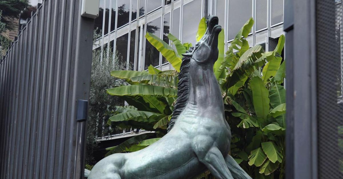 Monica Setta fa sei: torna in onda su tre canali e pure alla radio ...