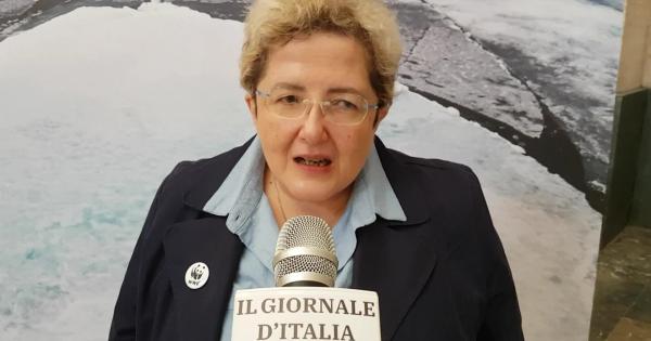 Climate Wall, Midulla (WWF Italia): “La politica deve scegliere ...