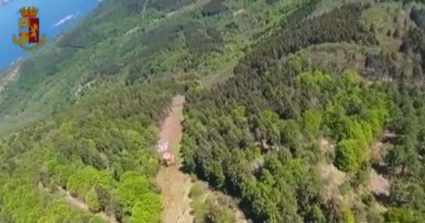 Funivia caduta sul Mottarone: si indaga per omicidio plurimo e lesioni ...