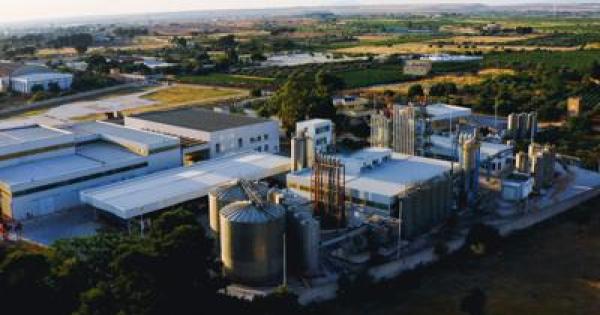 Vino: con nuove etichette Naturalia Ingredients risorsa made in Italy ...