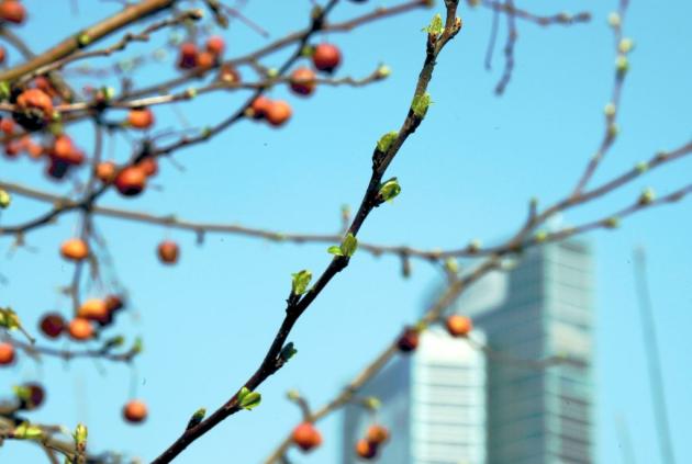 Milano, Assiteca-Howden a sostegno della Biblioteca degli Alberi - Il ...