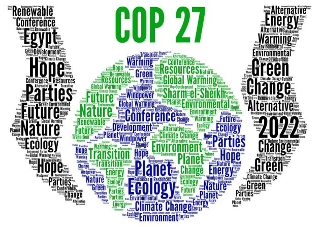 Quali sono gli obiettivi della Cop27? - Il Giornale d'Italia